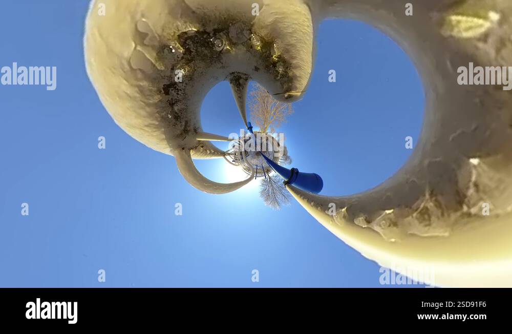 Dream-like surreal trip through warped, distorted playground monkey ...