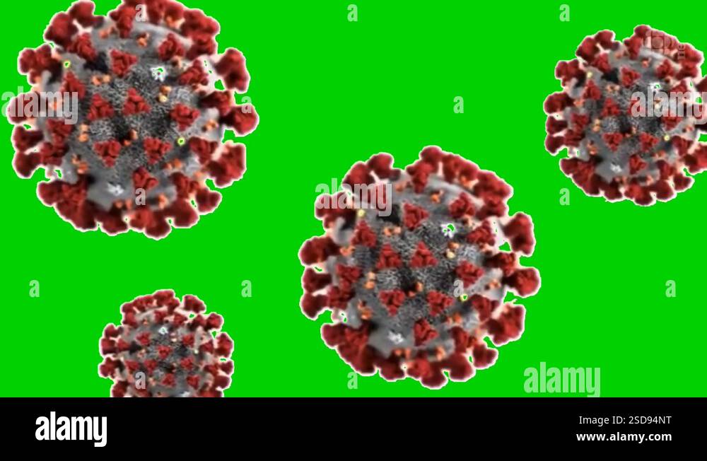 Coronavirus (COVID-19) Animation Green Screen Background Stock Video ...
