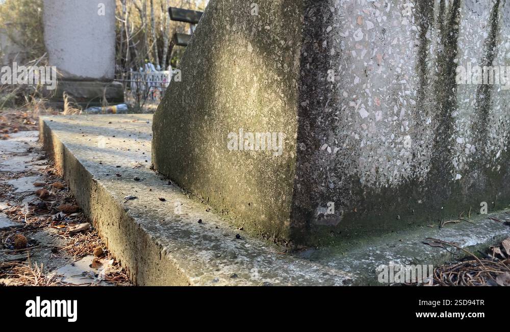 Graves with gravestones, headstones among trees, old orthodox cemetery ...