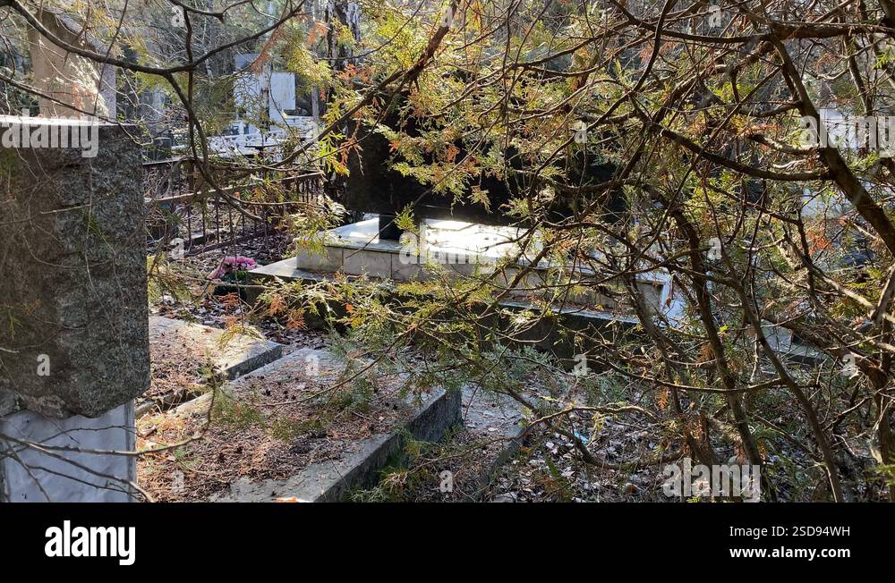 Graves with gravestones, headstones among trees, old orthodox cemetery ...