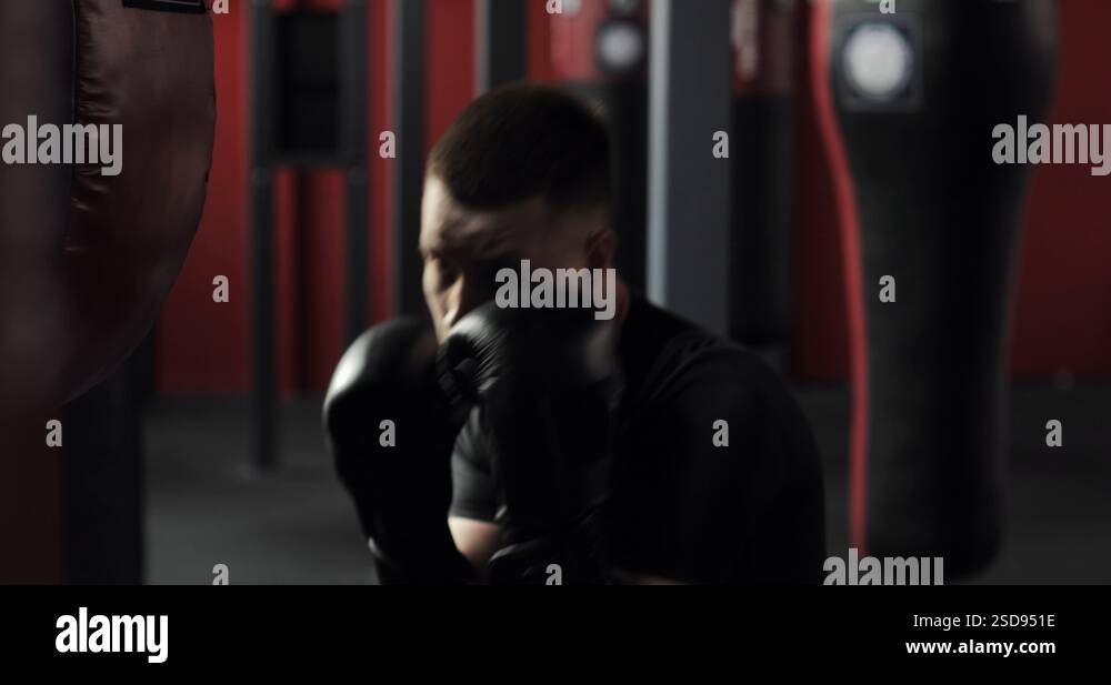 Aggressive boxer young man in gloves boxing and looking at camera in ...
