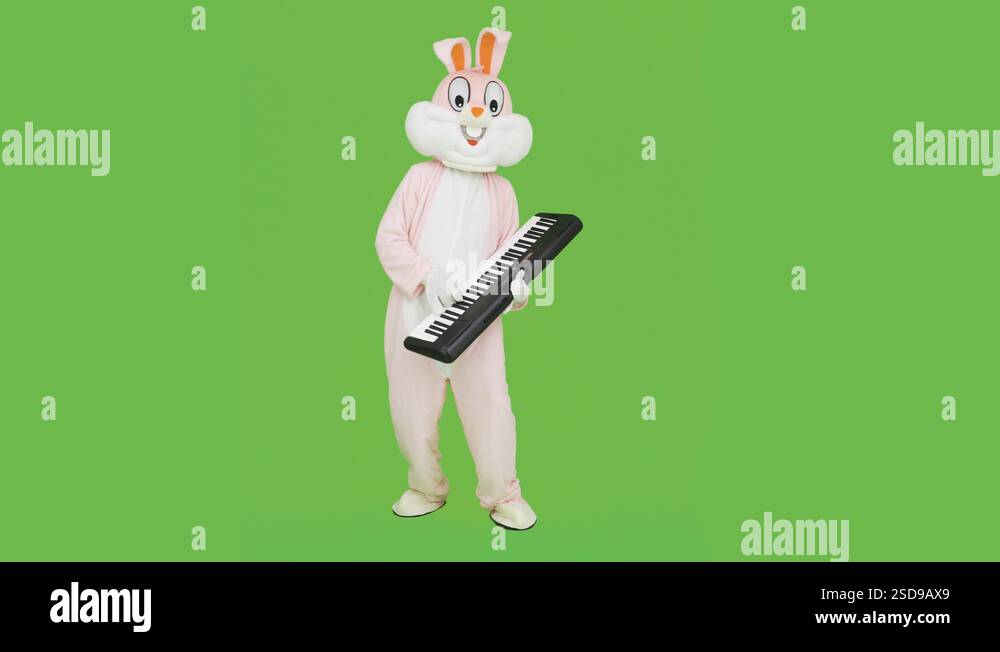 Man in adult giant bunny rabbit costume life-size suit playing piano ...