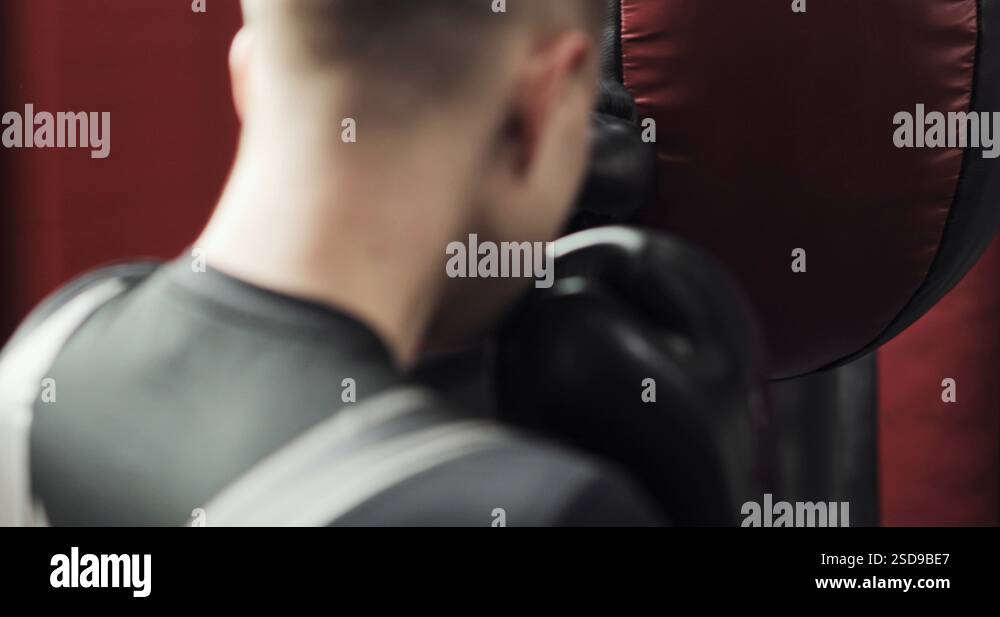 Boxer man in gloves making blows on punching bag boxing in gym, back ...