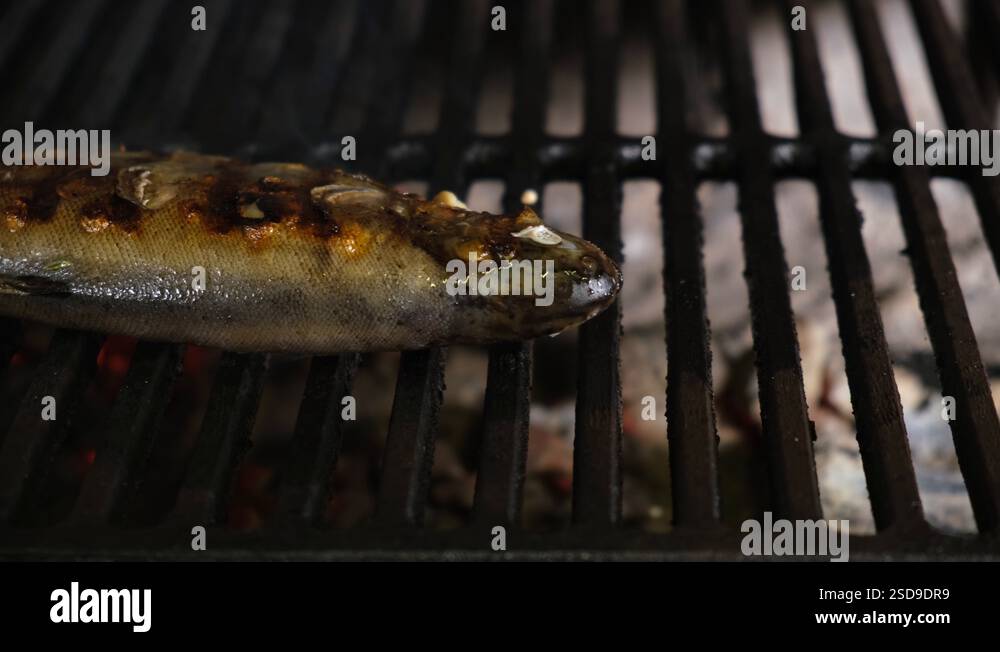 Rainbow trout fish is cooked on a hot barbecue grill Stock Video ...