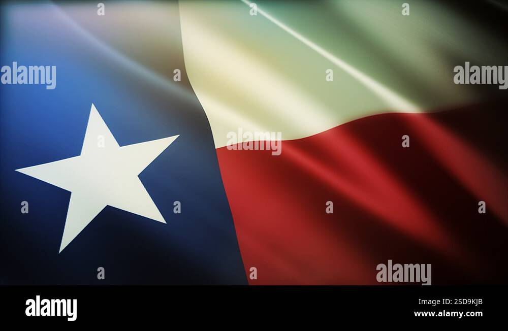 4k Texas flag,state in United States America,smooth texture seamless ...