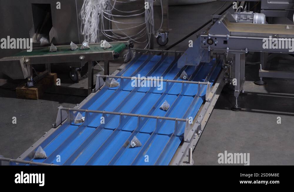 Tea bags move on the conveyor belt at the tea factory Stock Video ...