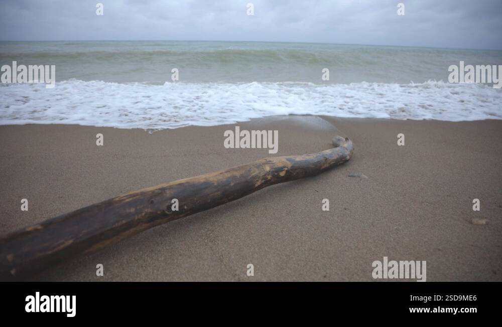 Large Waves Reaching The Piece Of Log On The Sea Shore. -medium shot ...