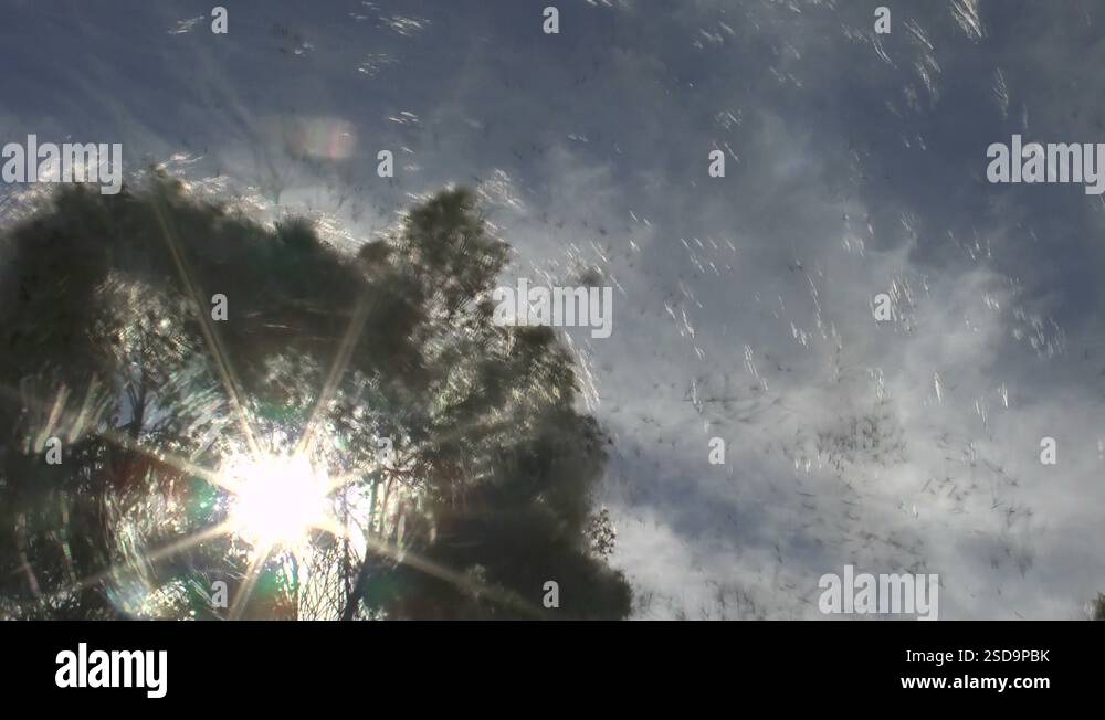 Allergy Commercial Achoo Stock Video Footage - Alamy