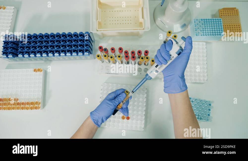 Plasma is getting poured into glass tubes by a lab worker Stock Video ...