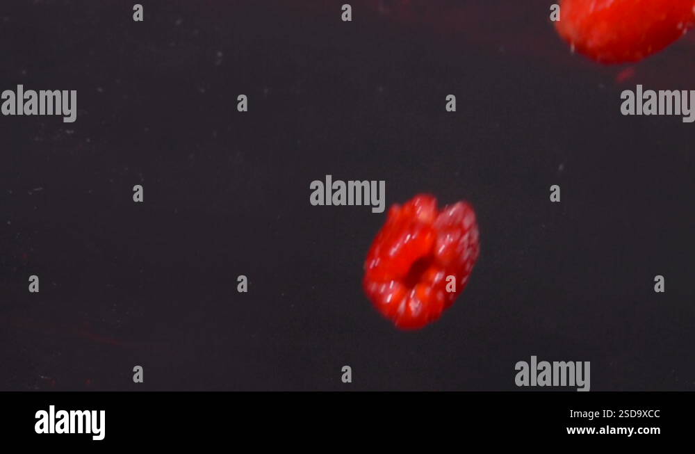 Ripe red raspberries are falling into juice with beautiful splashes ...