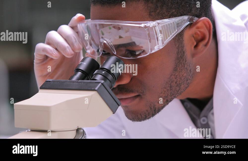 Look through microscope Stock Videos & Footage - HD and 4K Video Clips ...