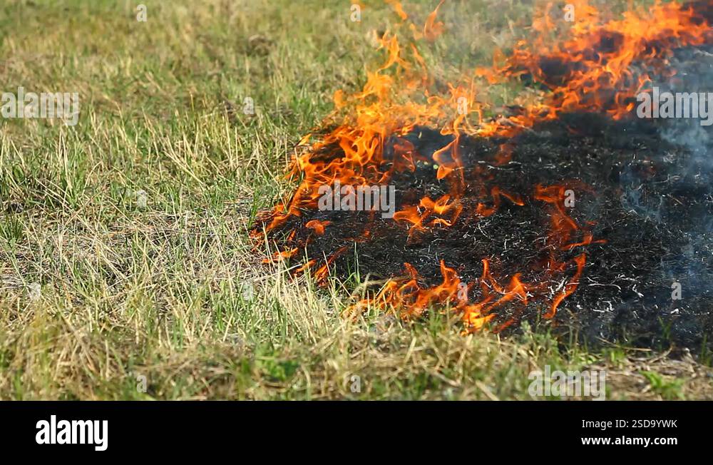 burning dry grass close-up Stock Video Footage - Alamy