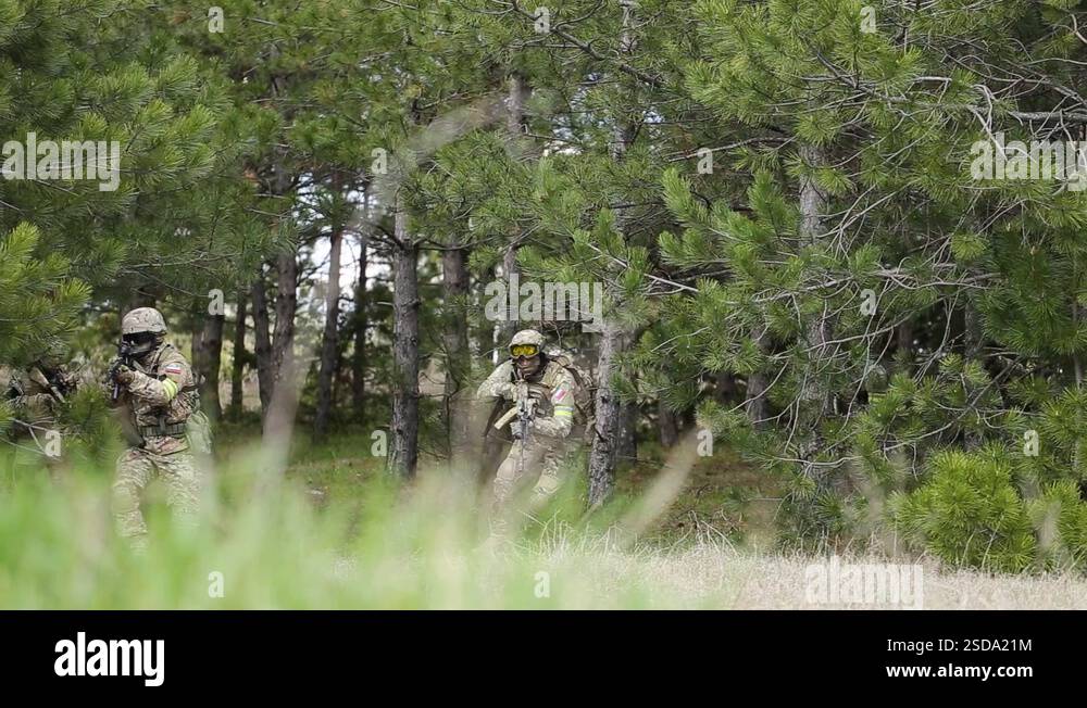 Equipped soldiers moving through forest with rifle ready to shoot Stock ...