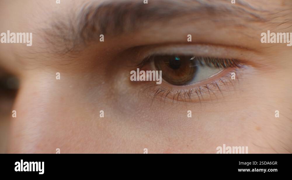 Eyes of serious caucasian man. Extreme close up human eye iris Stock ...
