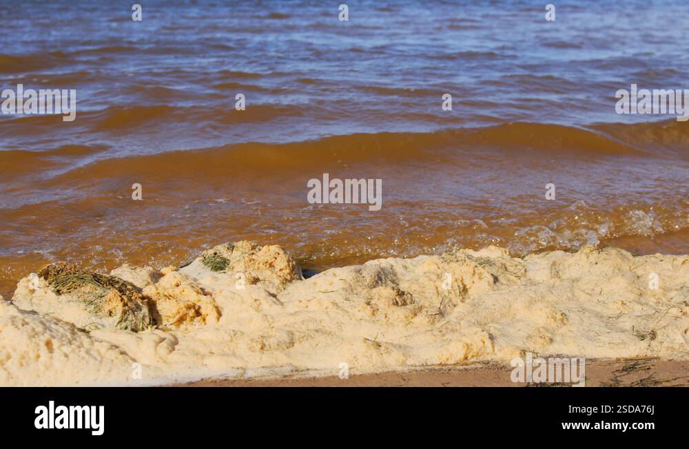 Pollution of rivers with chemical industry waste (paper production ...