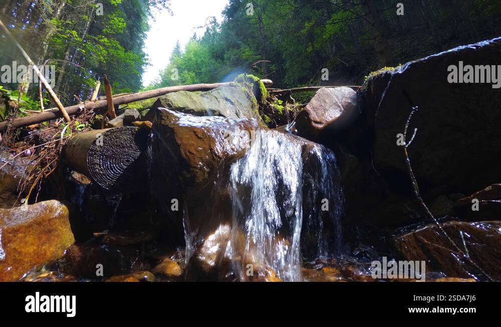 Water Tumbles Softly along Wilderness Stream in Carpathian Mountains ...