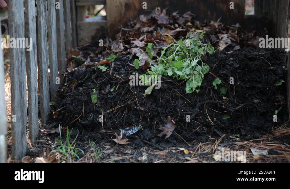 how to make organic fertilizer at home. DIY compost bin made from wood ...