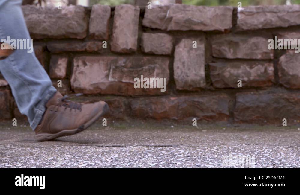 Slow motion foot steps of the owner and his dachshund dog on a walk ...