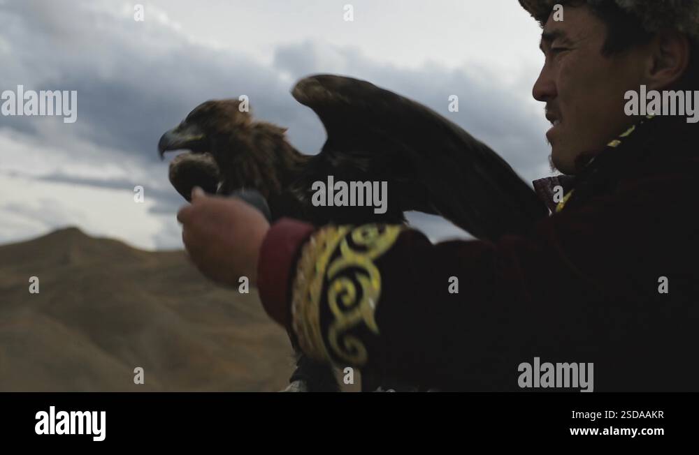 Traditional eagle handler Stock Videos & Footage - HD and 4K Video ...