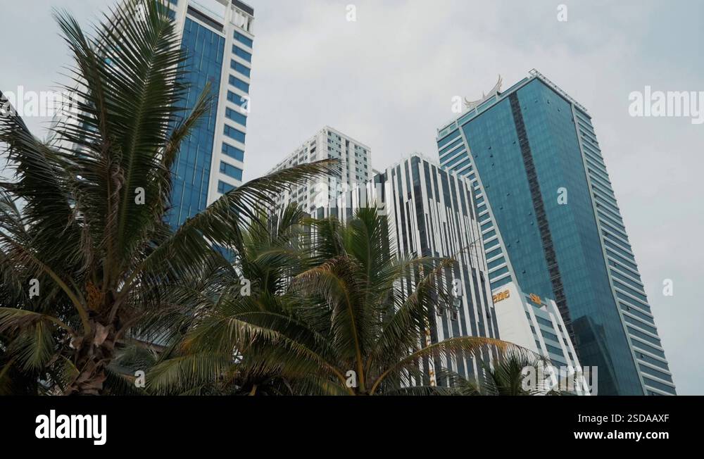 The wind moves palm trees in front of the buildings with the blue ...