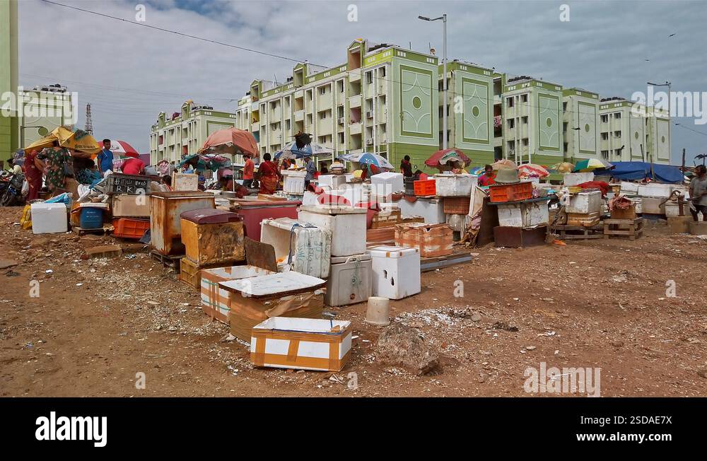 Local fish market on the road near the beach in Chennai, India Stock ...