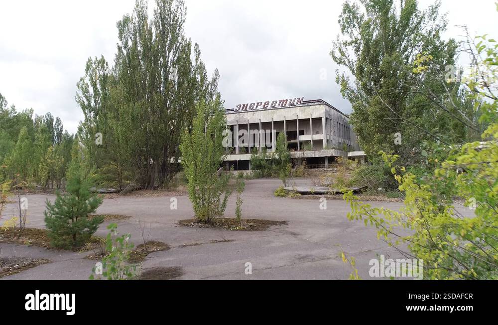 Overgrown streets of the city. Chernobyl Video from the drone Stock ...
