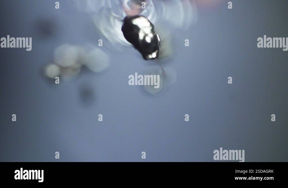 Shot of silver metals drops into water directly below camera view Stock ...