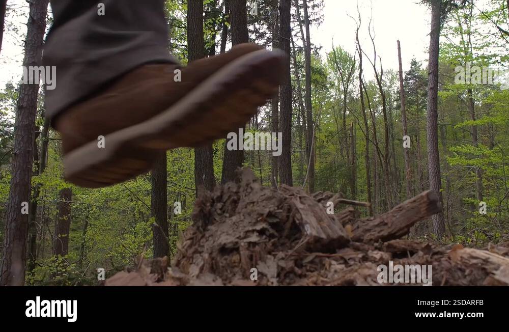 Hikers shoe steps on a small tree stork in a forest. Outsole poit of ...