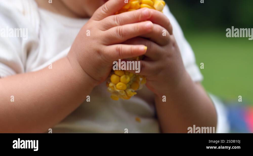 Child baby eating corn cob outside taking a bite of healthy eating ...
