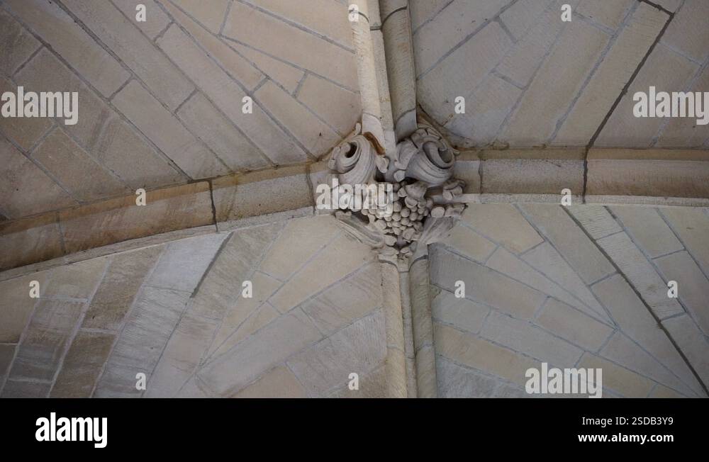 Rib Vaulted Ceiling With Floral And Scroll Details Stock Video Footage Alamy