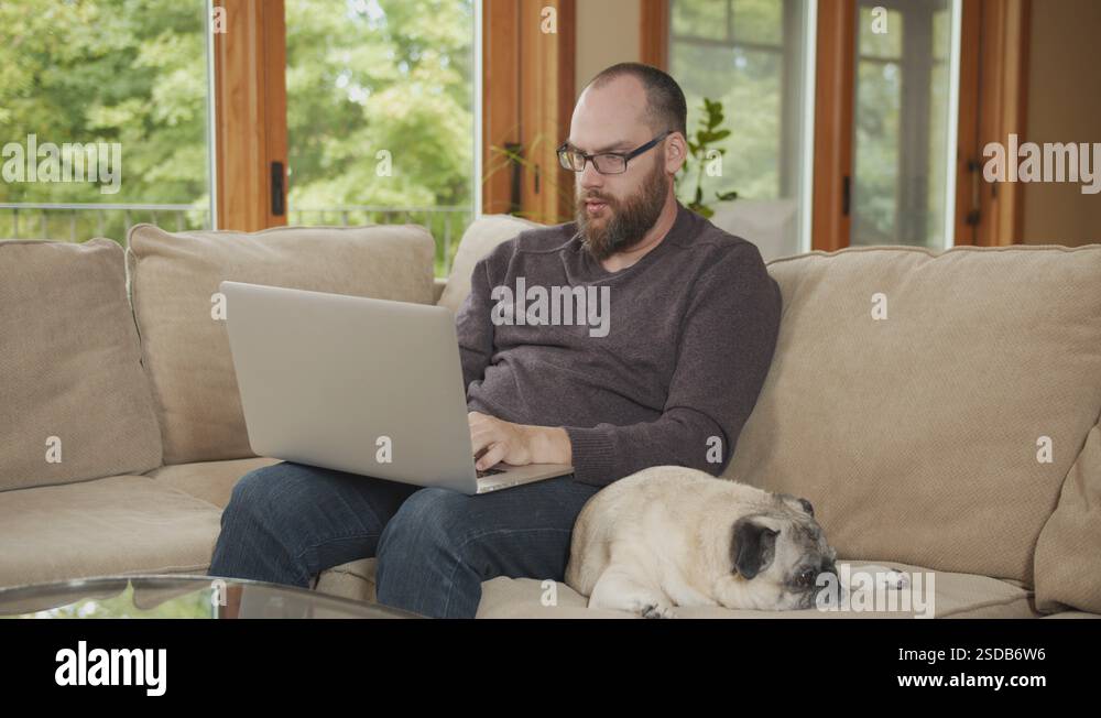 Male works from home with laptop computer and sleeping pug dog in ...