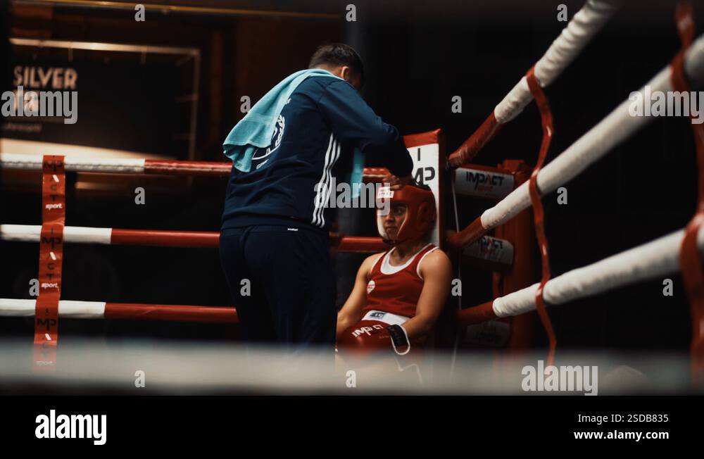 Female boxer resting in corner box ring during fight pause. Coach helps ...