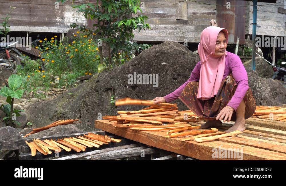 Dayak People, Borneo. Kalimantan, Indonesia Stock Video Footage - Alamy