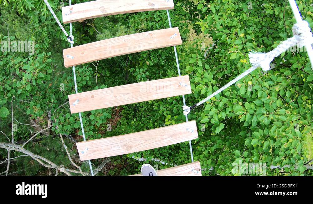 Man walks across shaky rope bridge high above forest trees Stock Video ...