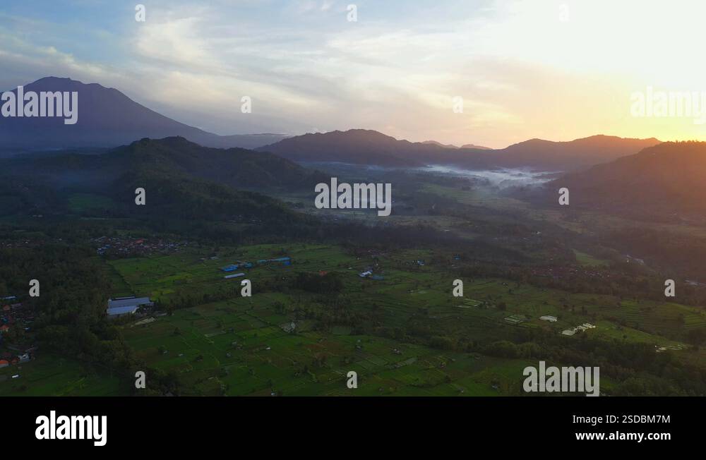 Rice fields on Bali near Ubud, view from above Stock Video Footage - Alamy