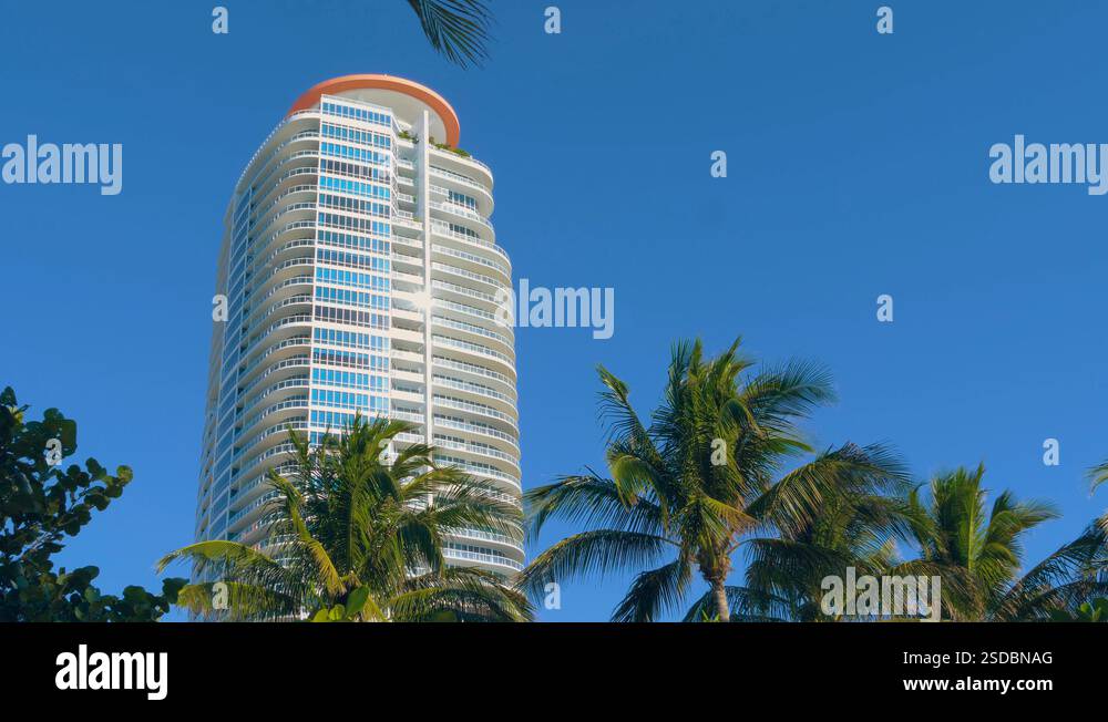 Miami high rise condominiums with rows of palm Stock Video Footage - Alamy