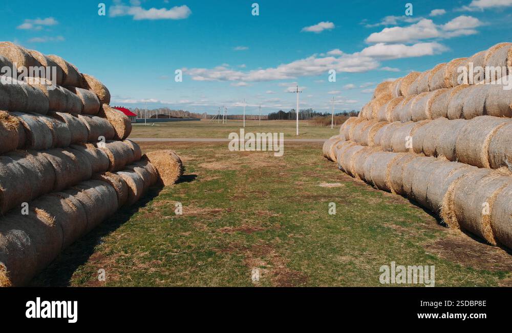 Aerial view a Hay bales are stack large stacks. Drone fly between Hay ...