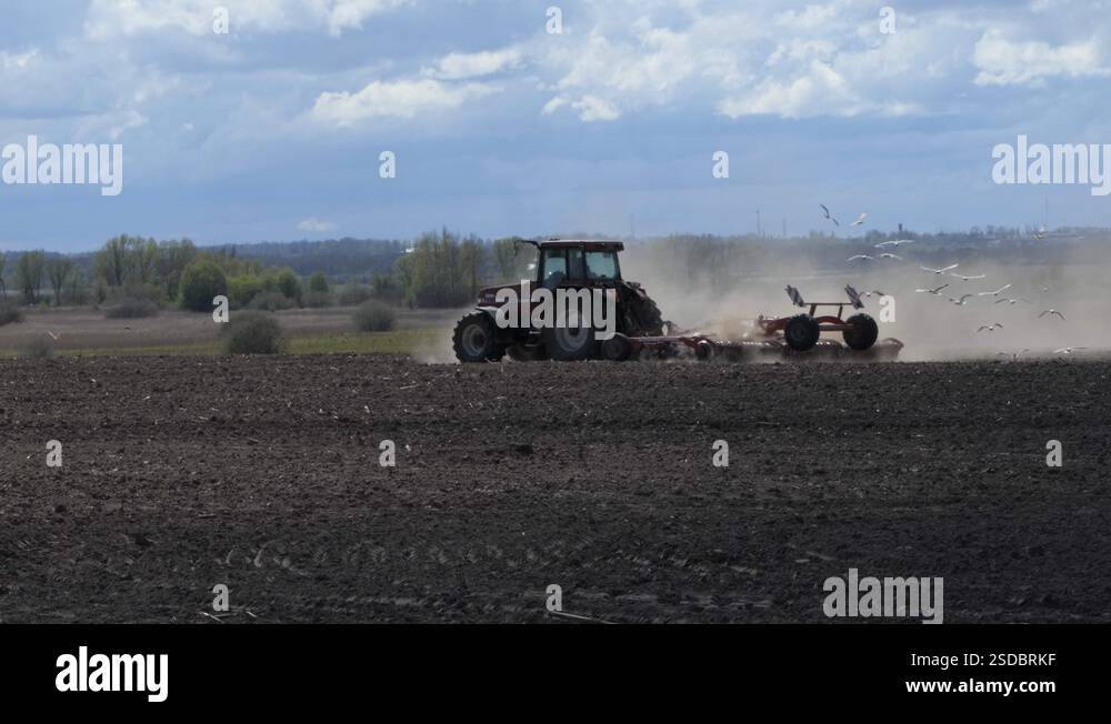 Farmer on Tractor Plowing Dusty Arid Soil. Farm Car Followed by Flock ...