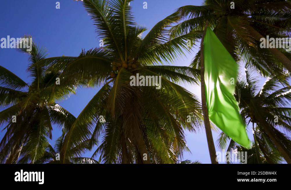 A slider footage of beach flag blows in the wind in front of the sunny ...