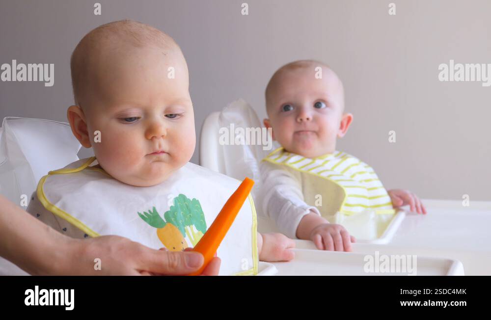 Mother Giving Organic Carrots To Her Baby Twins. Healthy Food For ...