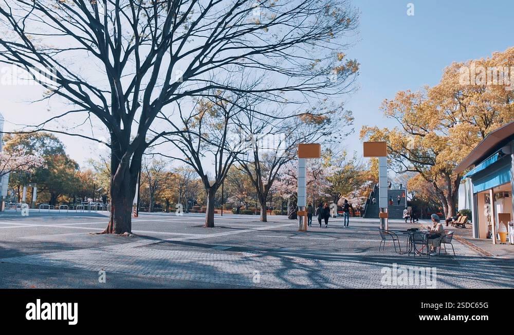 Open area in Yoyogi park with sakura trees. People sitting outside bar ...