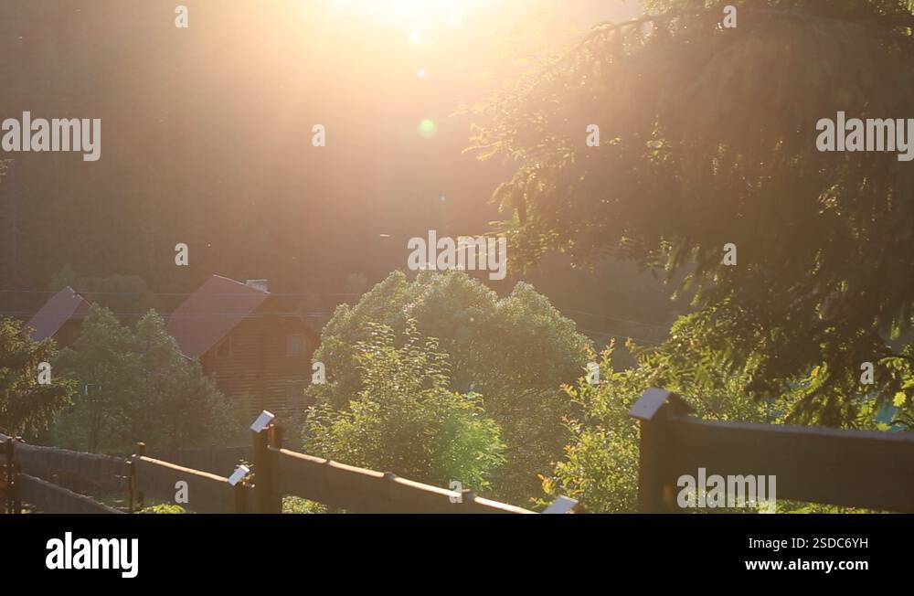 Beautiful sunny countryside sunset landscape with warm gold sunshine ...