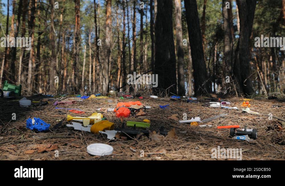 Garbage dump in a pine forest. Environmental pollution. Concept of an ...