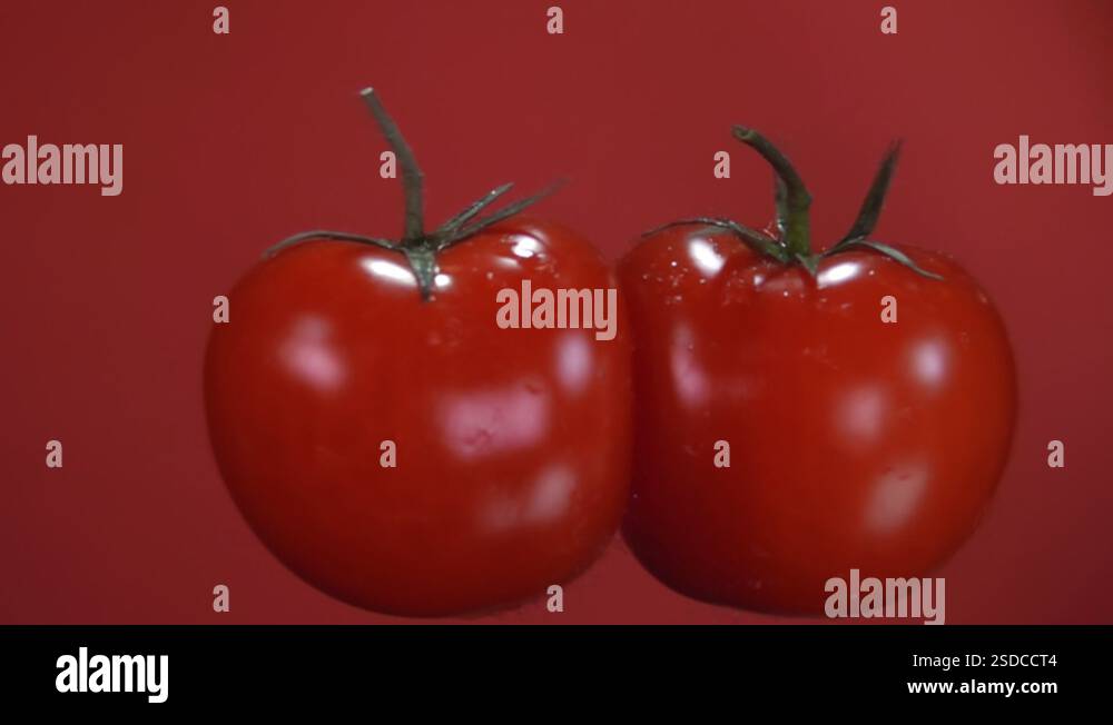 Two ripe red juicy tomatoes are colliding with each other on the red ...