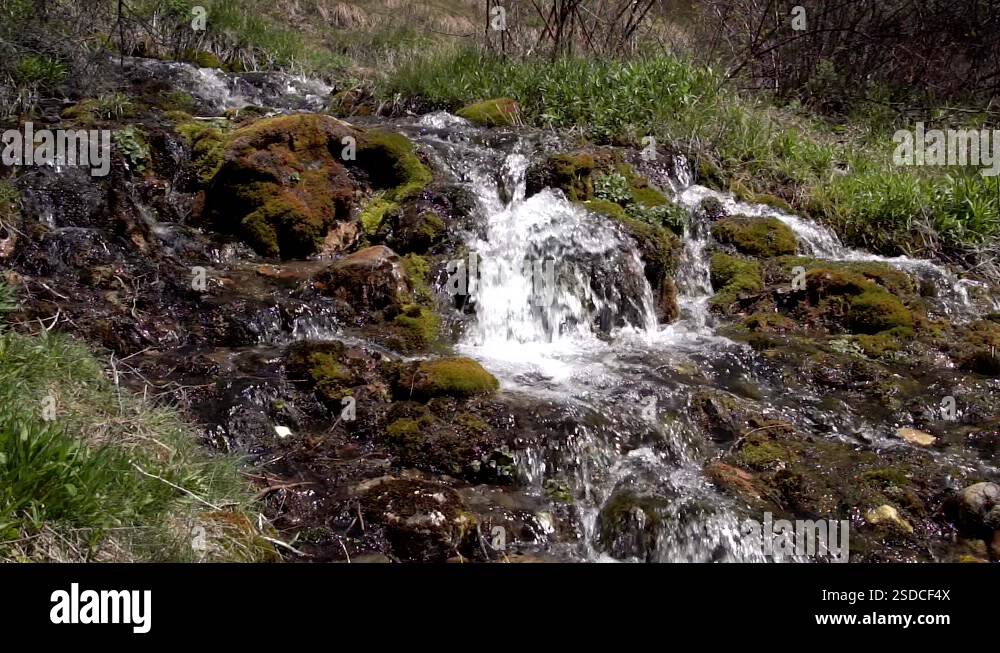 Runoff from spring snow melt forms a small stream rushing down a moss ...