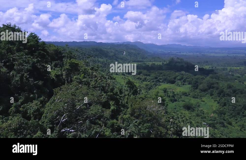 Tropical rainforest on island with mountain range, AERIAL Stock Video ...