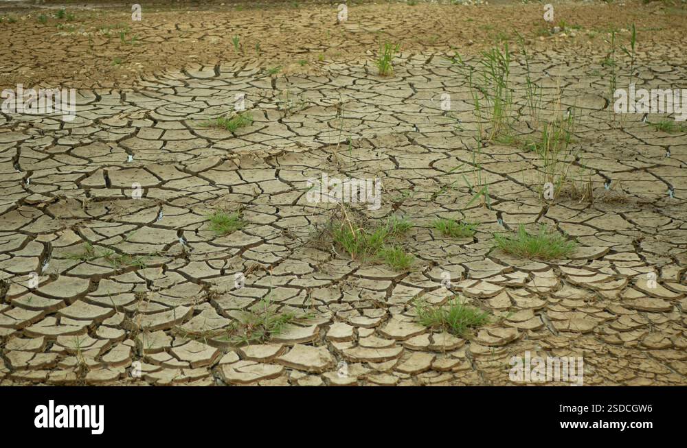 Drought cracked pond wetland, swamp very drying up soil climate change ...