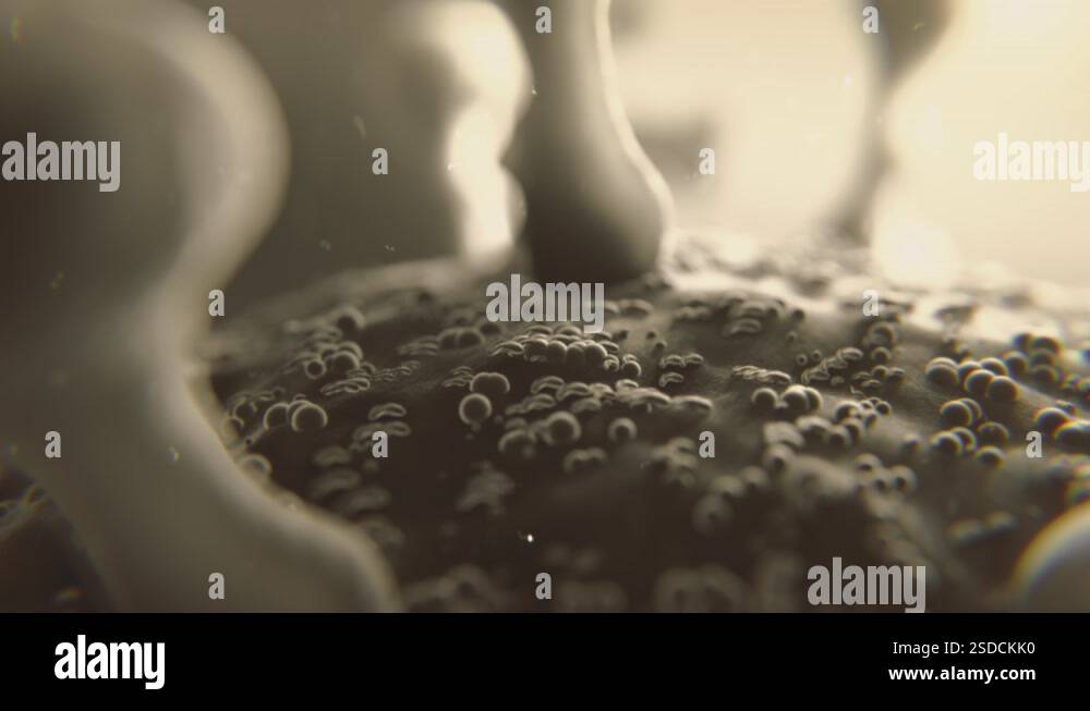 COVID-19, coronavirus extreme close up. SEM electron microscope image ...