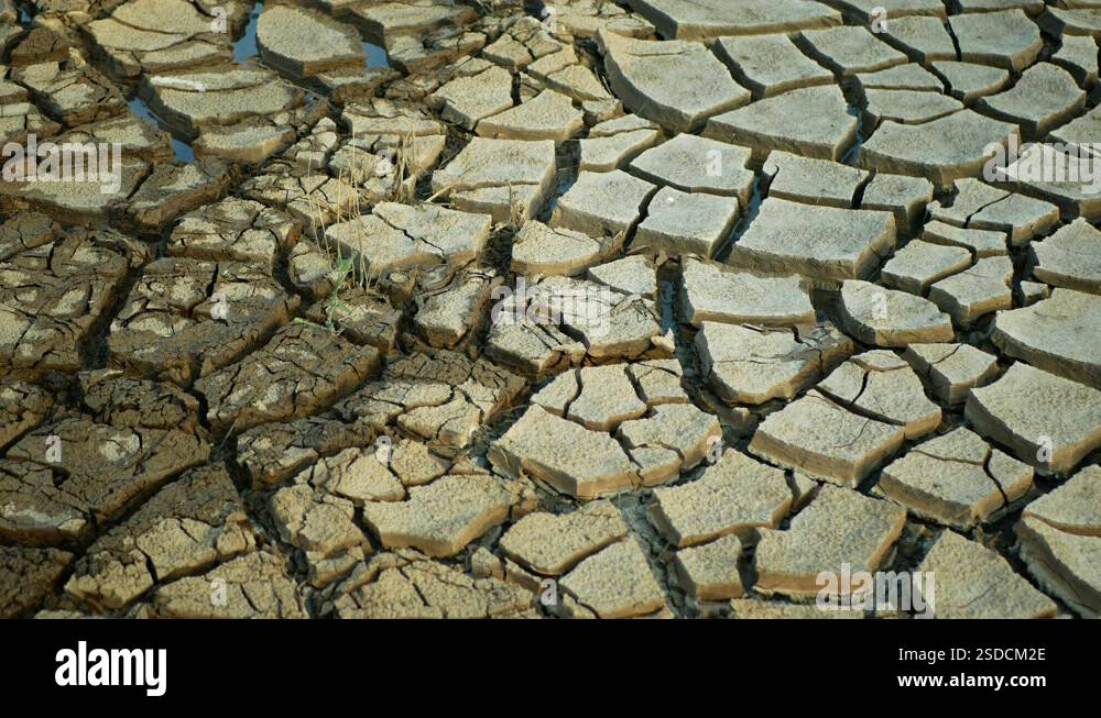 Drought cracked pond lake drying up soil crust soil dry degradation ...