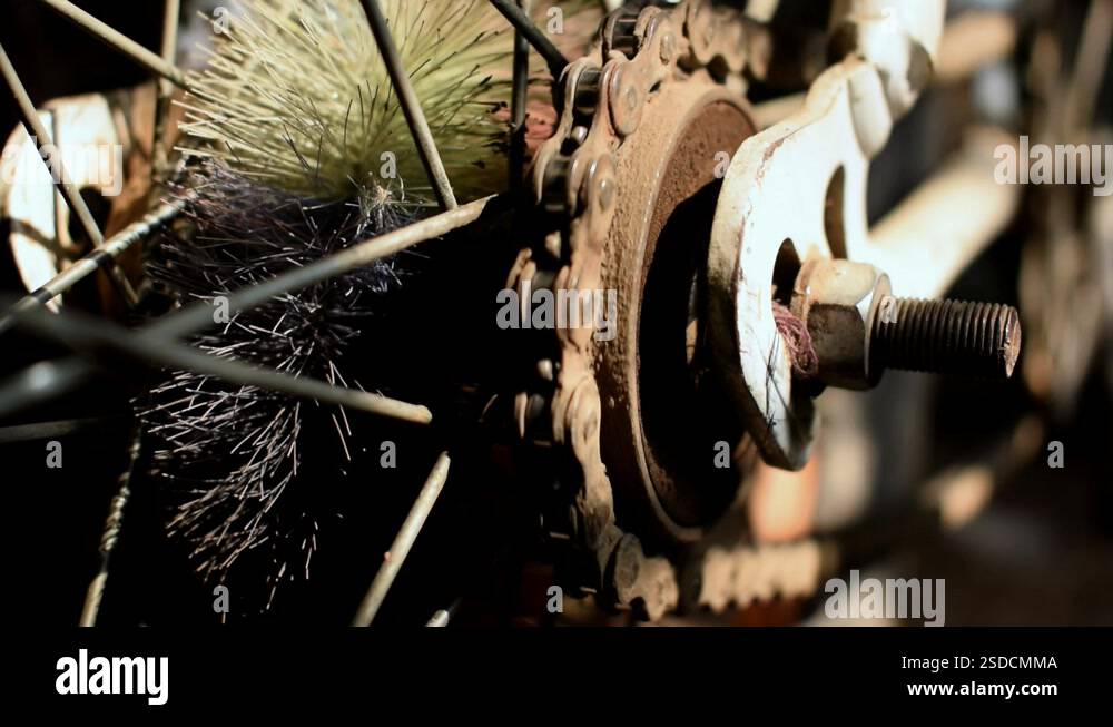 bicycle chain running in circle while paddling. the back wheel view ...